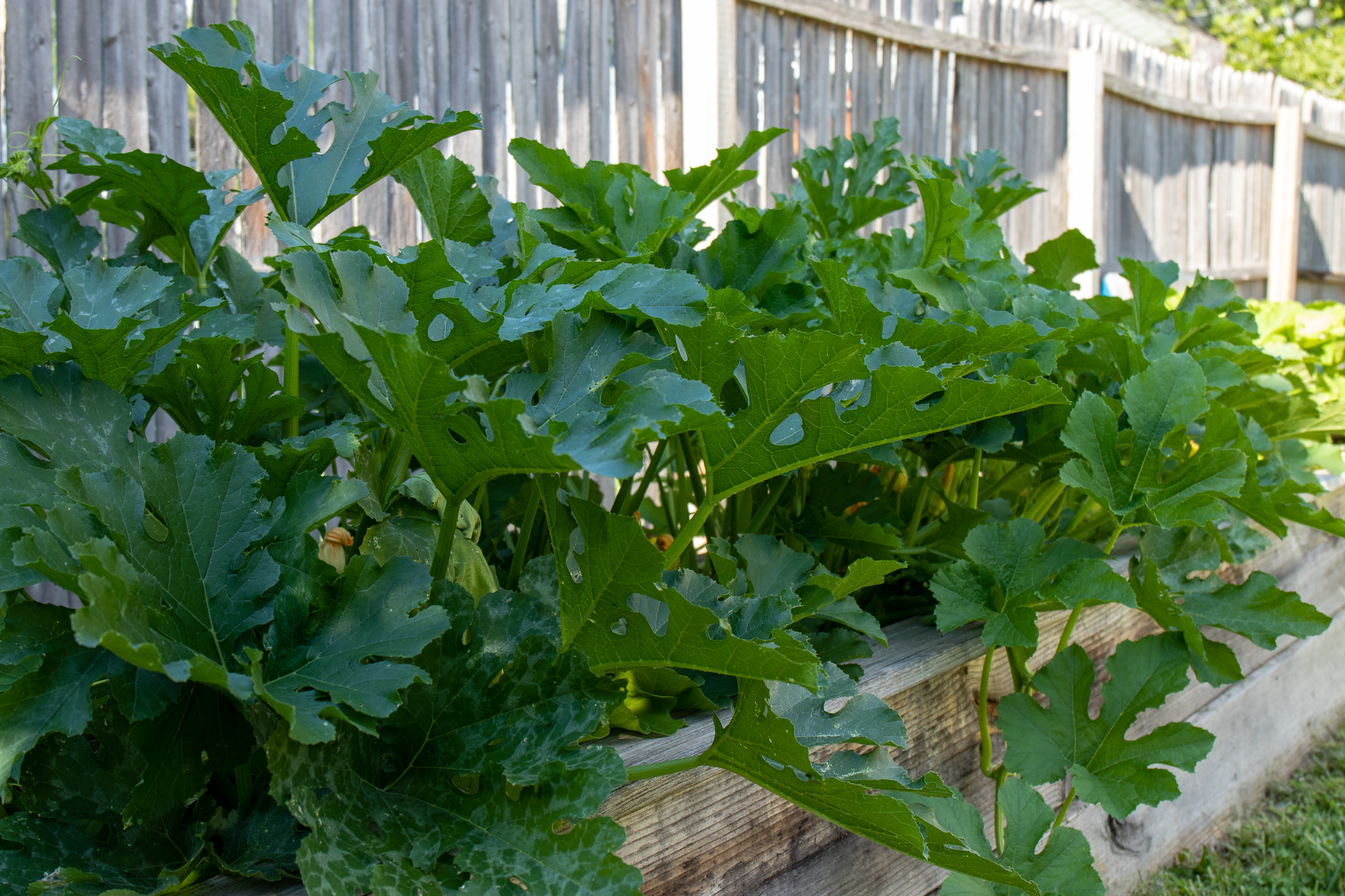 A Visit to the Norwich Community Homes | Springbrook