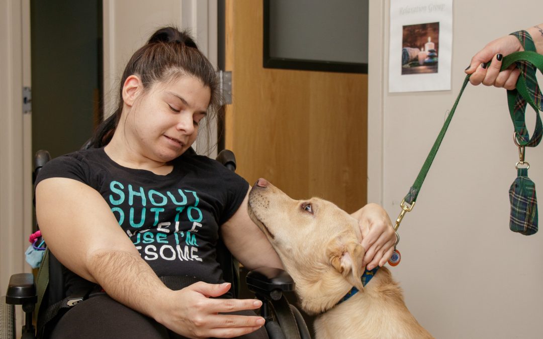 Wellness Wednesday-Jake and Bailey Visit Day Hab! | Springbrook