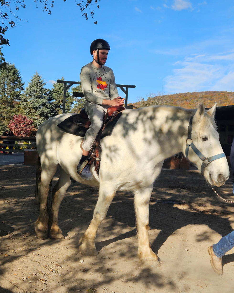 Rocking Horse Ranch | Springbrook