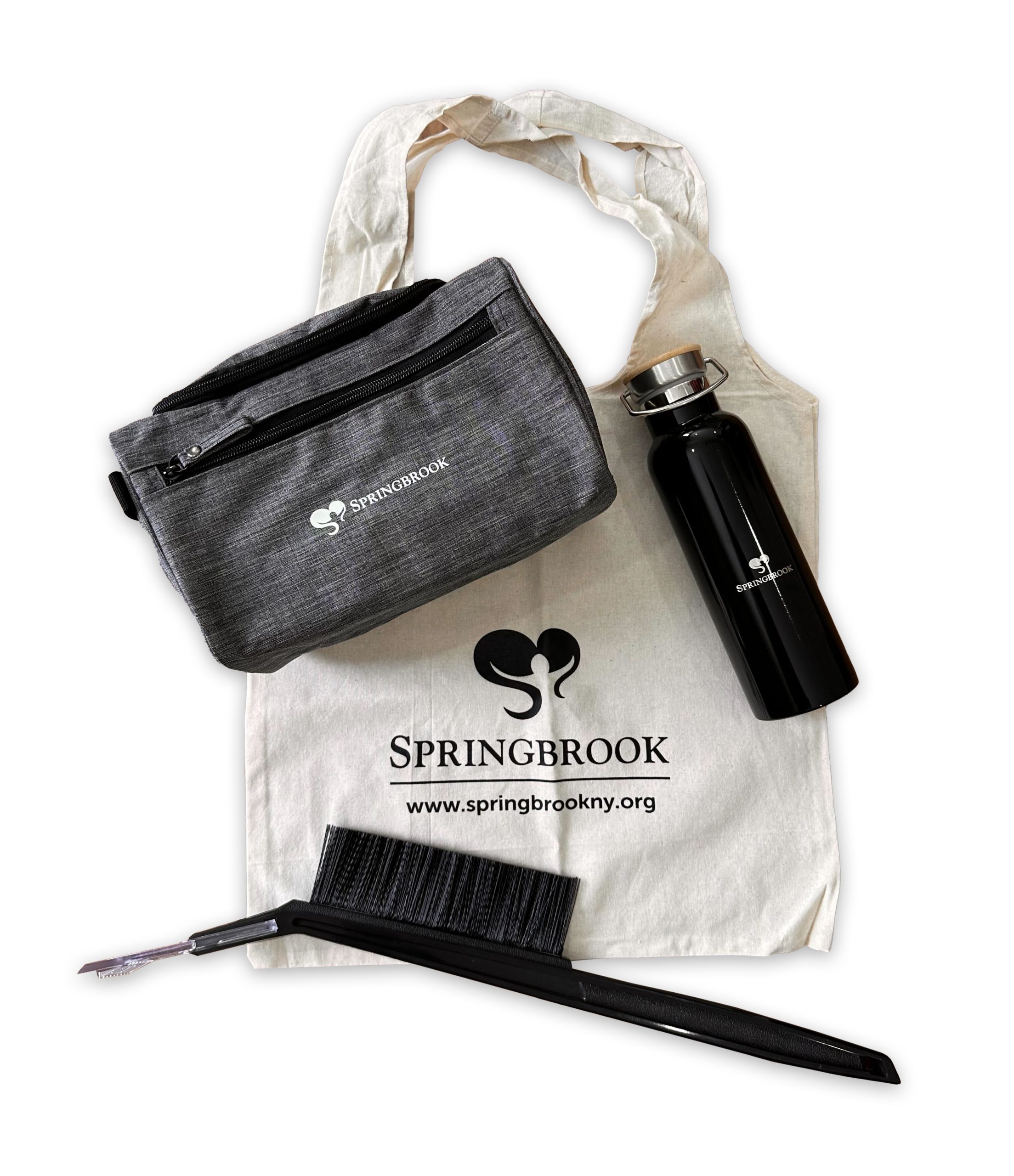 Day of Giving, Ambassadors | Springbrook